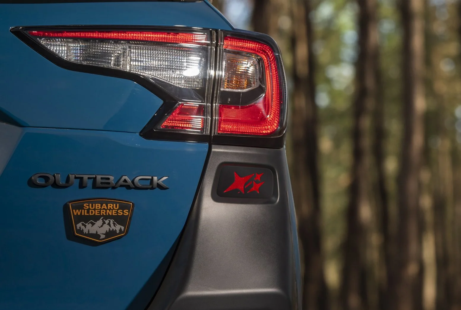 Starlit Rear Reflector Overlays for 2023+ Outbacks and 2022+ Outback ...
