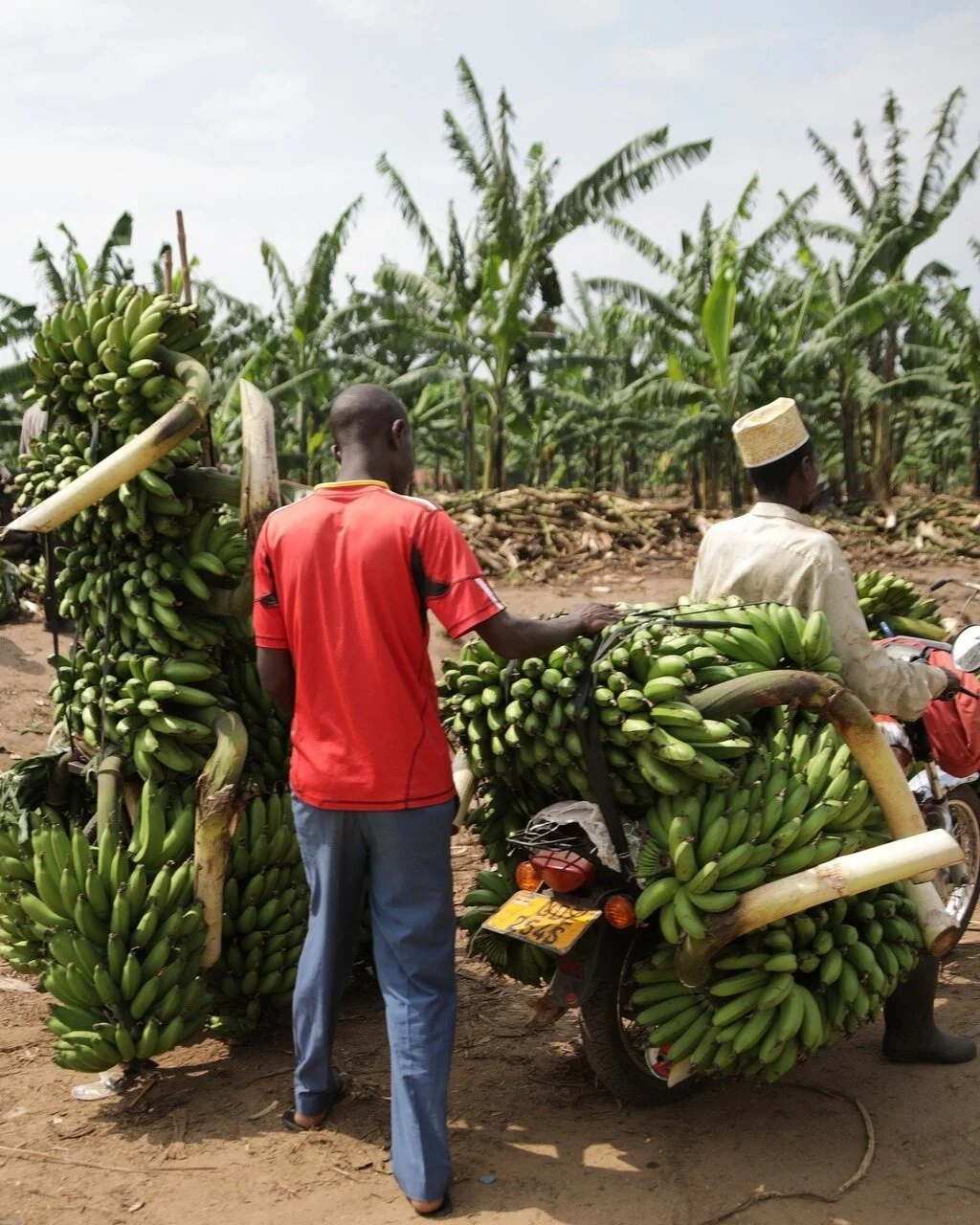 Fairtrade Children's Workshops — DEED