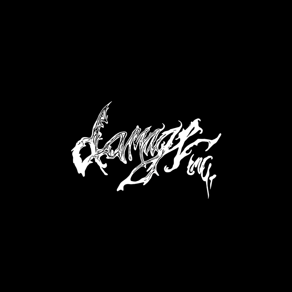 Damage Inc. Snowboards