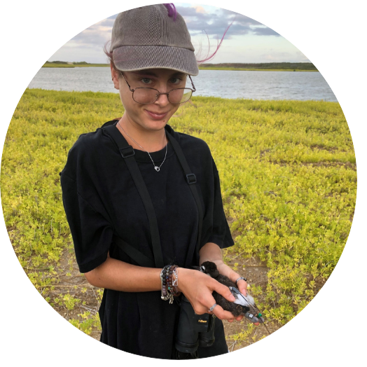 About Hamer Environmental — Hamer Environmental