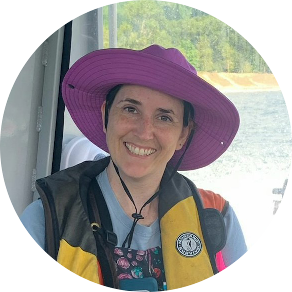 About Hamer Environmental — Hamer Environmental