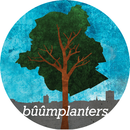 (B)leifruit — Bûûmplanters