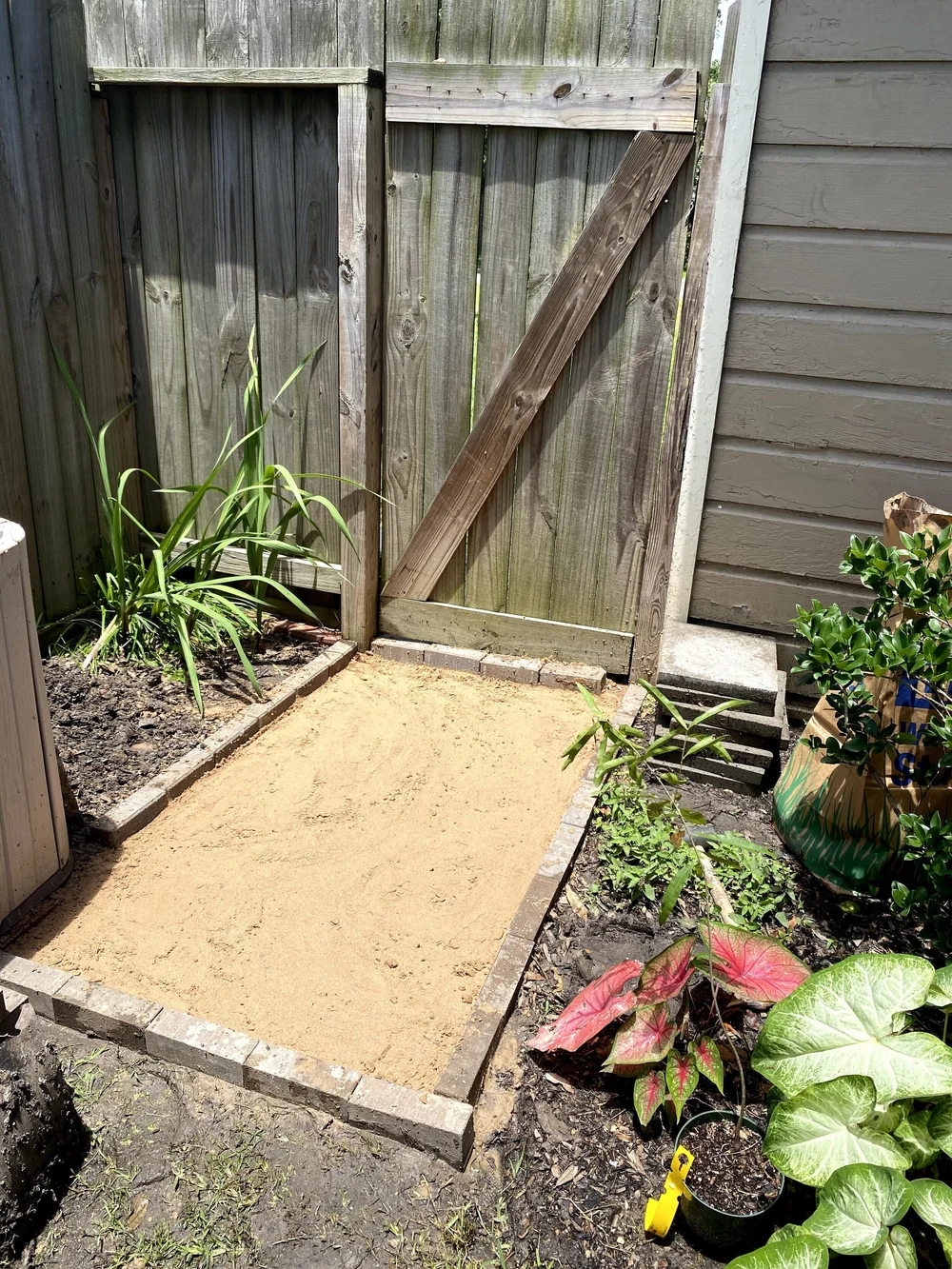 From Muddy Mess to Paver Walkway — Sarah King Creates