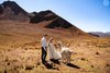 Adventure Elopement Packages | USA & South America