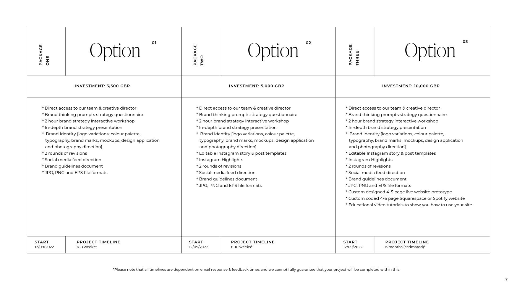 Logo Design Proposal Template