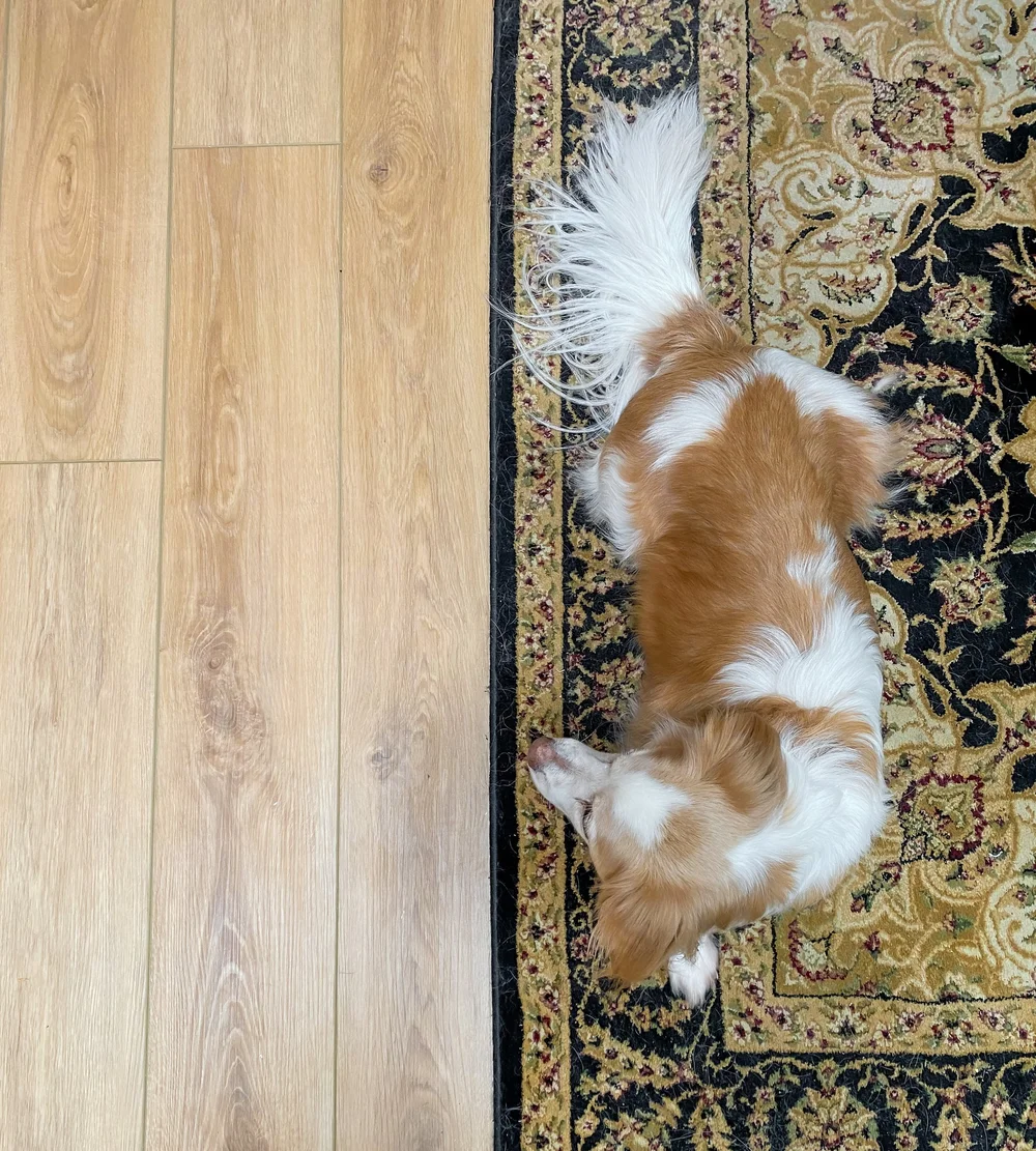 Provenza LVP Floor Review | The Natural — Lauren Toews