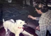 The Murder of Brian Allen: Orland, Maine 2005 Unsolved Homicide ...
