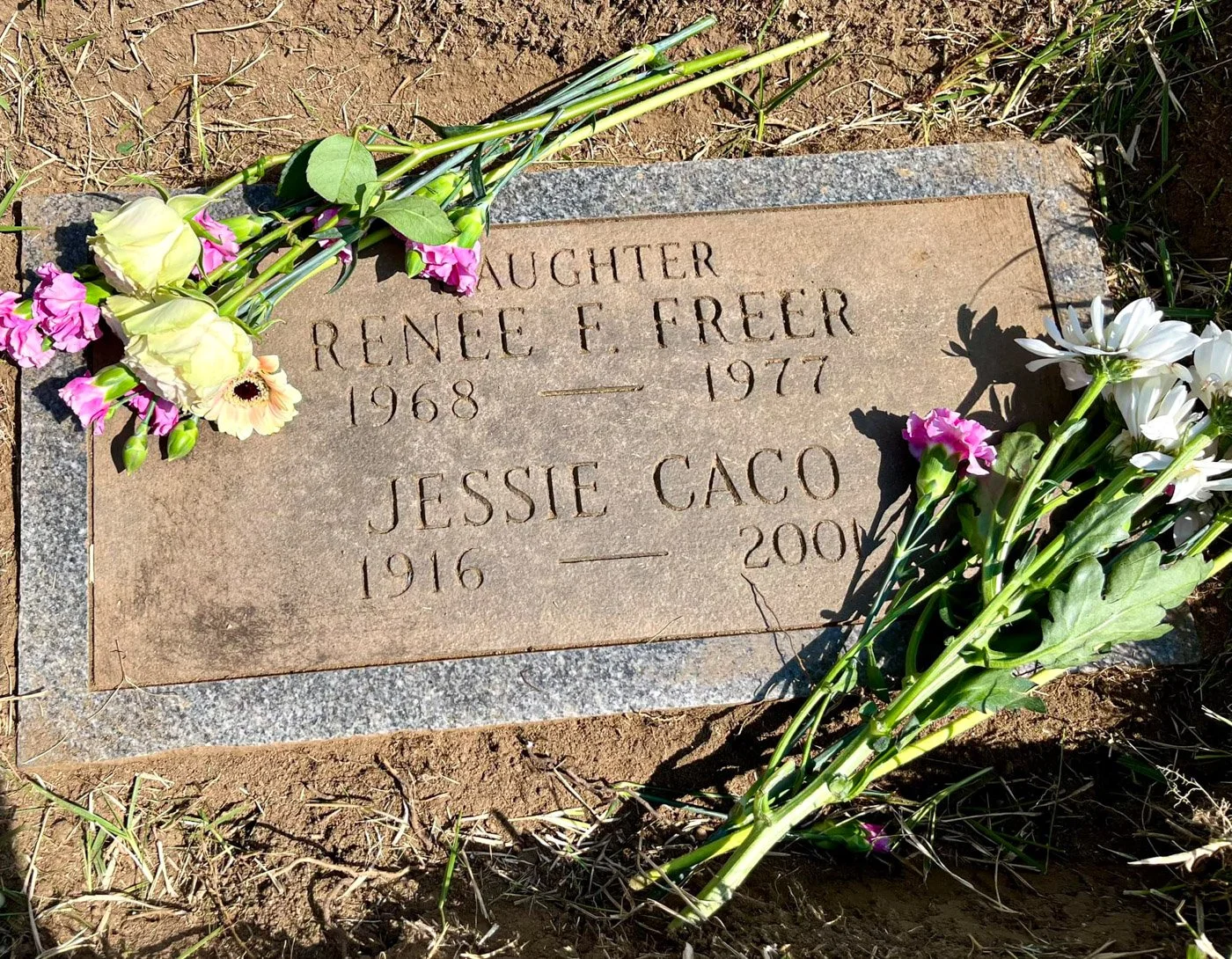 The Unsolved Murder of Renee Freer: 1977 in Monroe, Connecticut ...