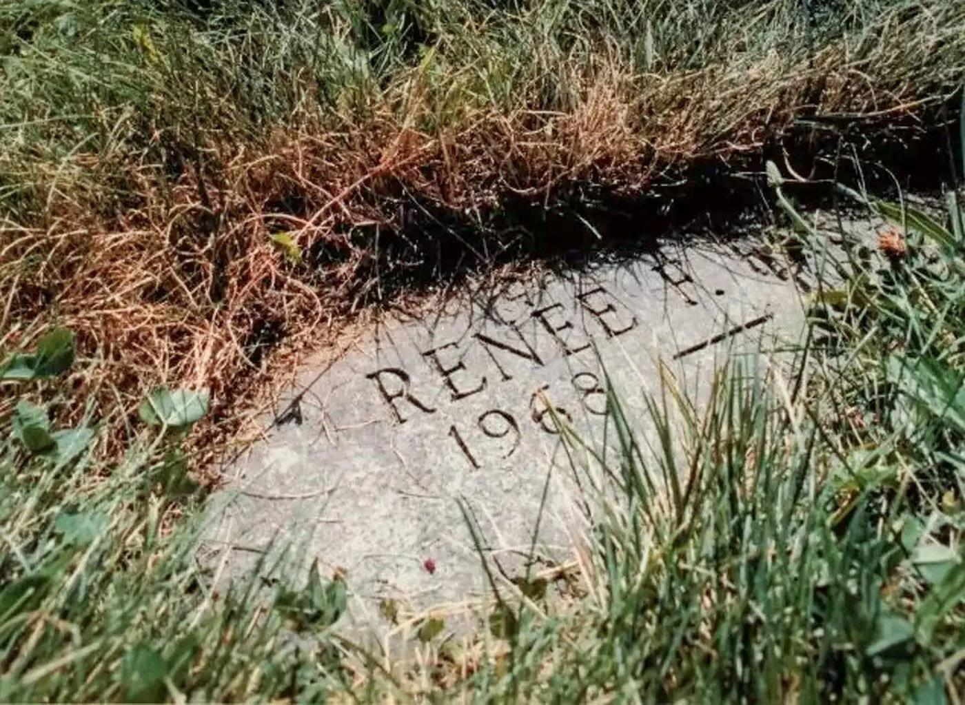 The Unsolved Murder of Renee Freer: 1977 in Monroe, Connecticut ...
