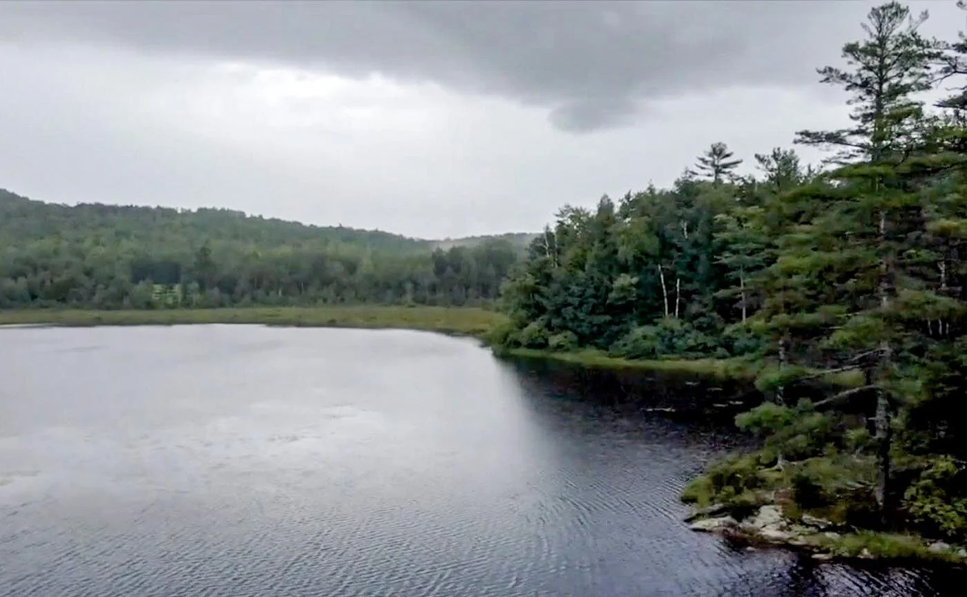 Trish Haynes: Tragedy in Rural New Hampshire — Murder, She Told: Maine ...