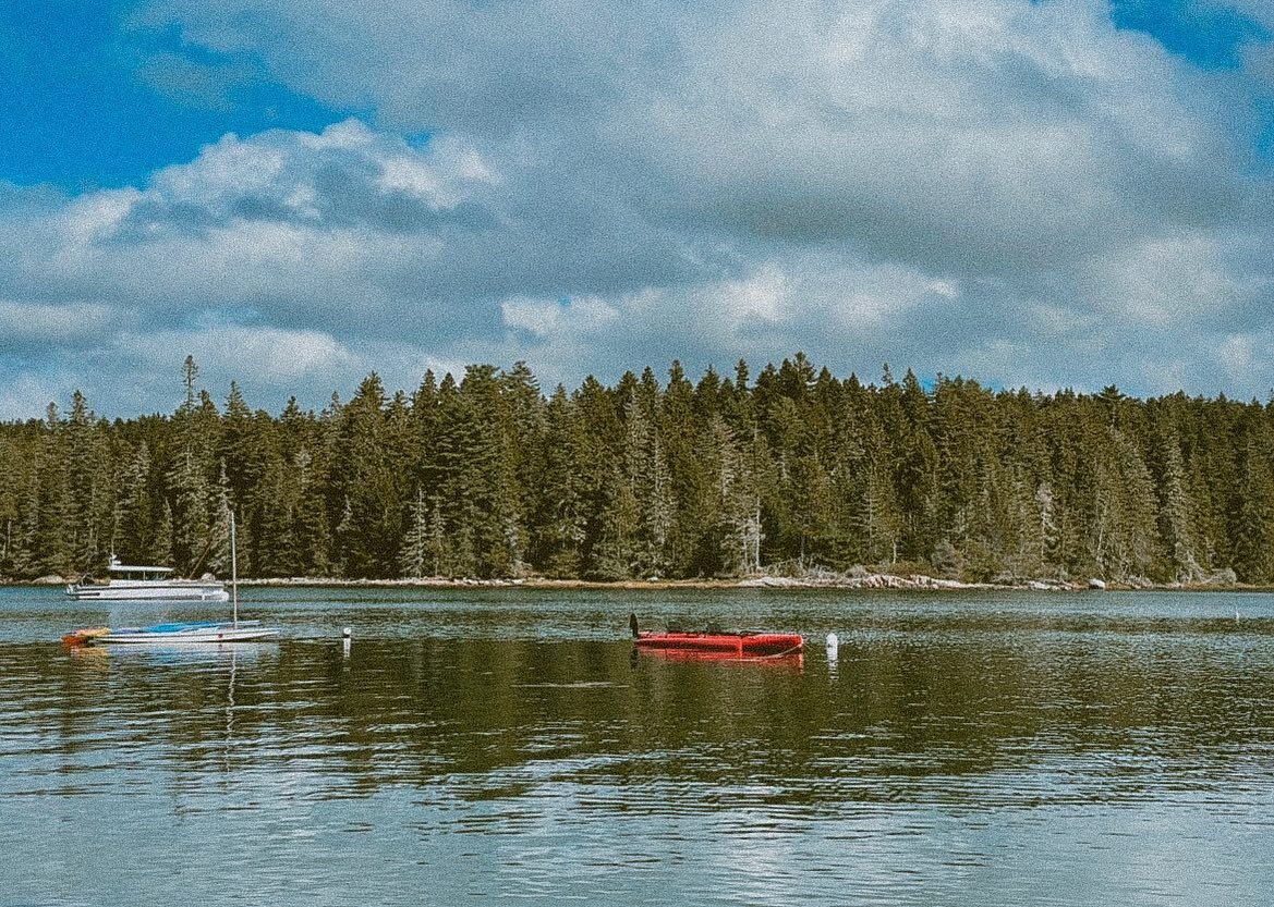 Murder, She Told: Maine and New England True Crime Podcast