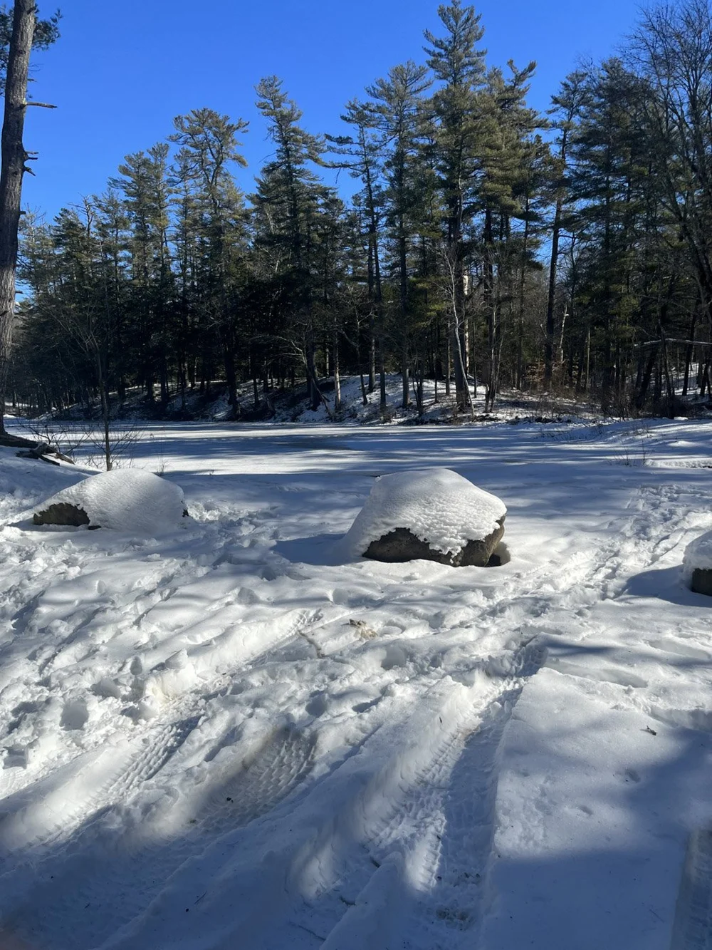 Sonya Moore: Cold Case in New Hampshire — Murder, She Told: Maine & New ...