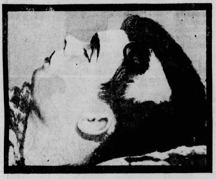 Artemus Ogletree and the Mystery in Room 1046 — Murder, She Told: Maine ...
