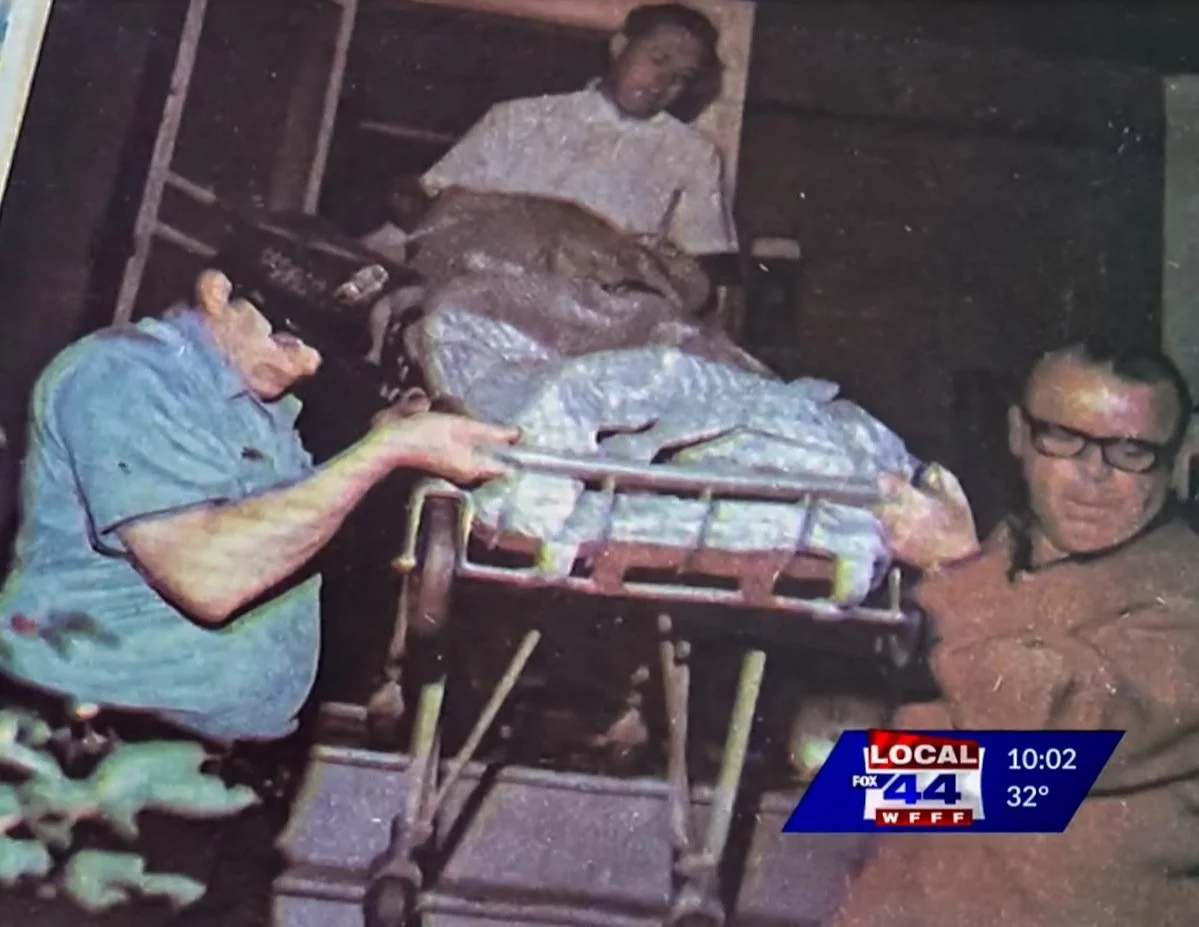 Solved: The 1971 Murder of Rita Curran — Murder, She Told: Maine & New ...