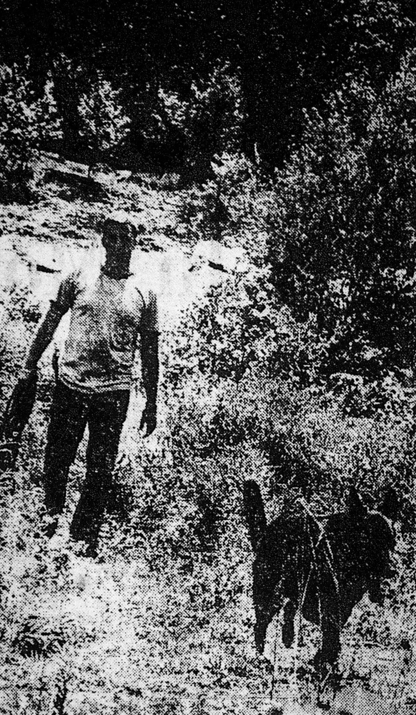 The Unsolved Murder of Renee Freer: 1977 in Monroe, Connecticut ...