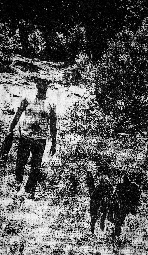 The Unsolved Murder of Renee Freer: 1977 in Monroe, Connecticut ...