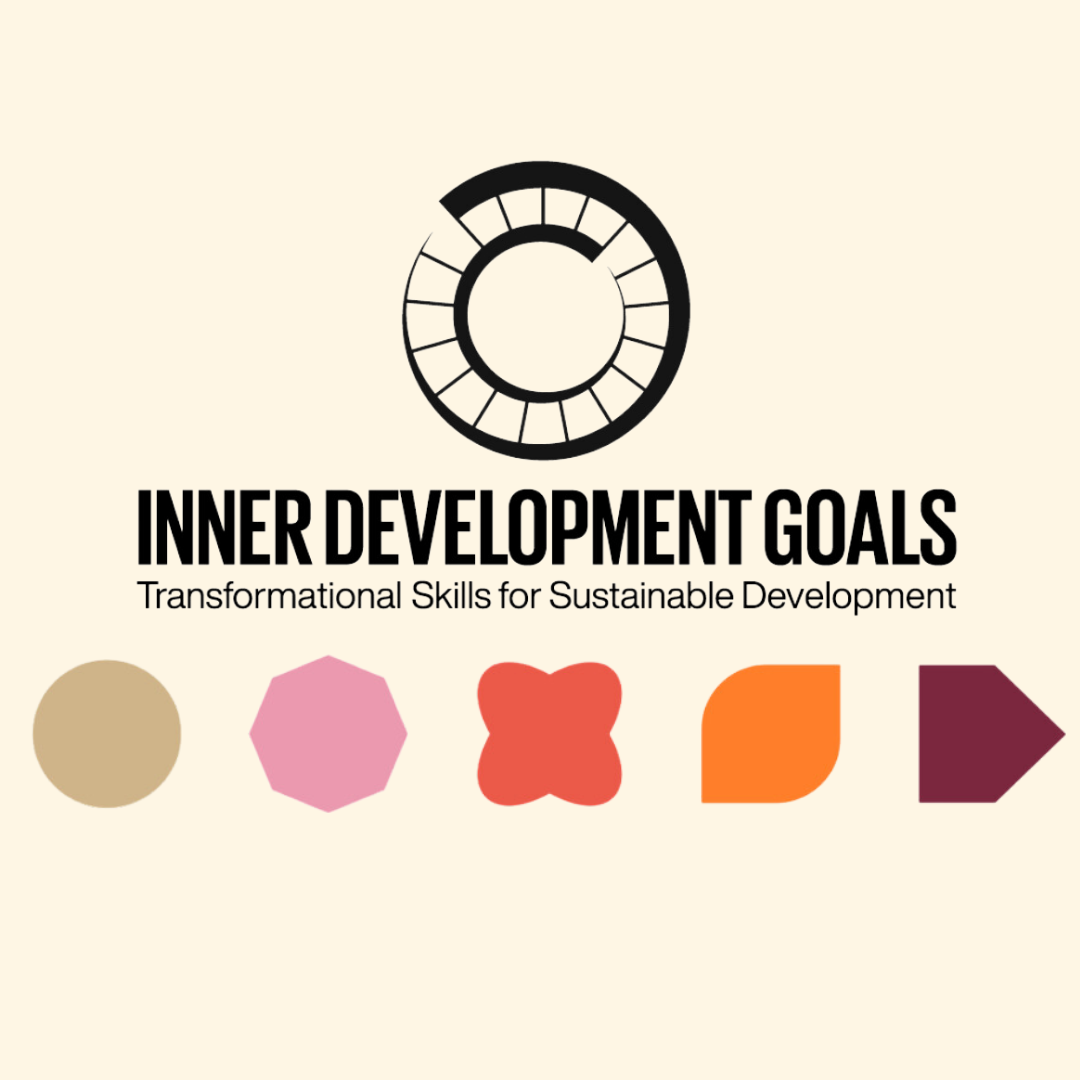 What are the Inner Development Goals? Our pathway to successful ...