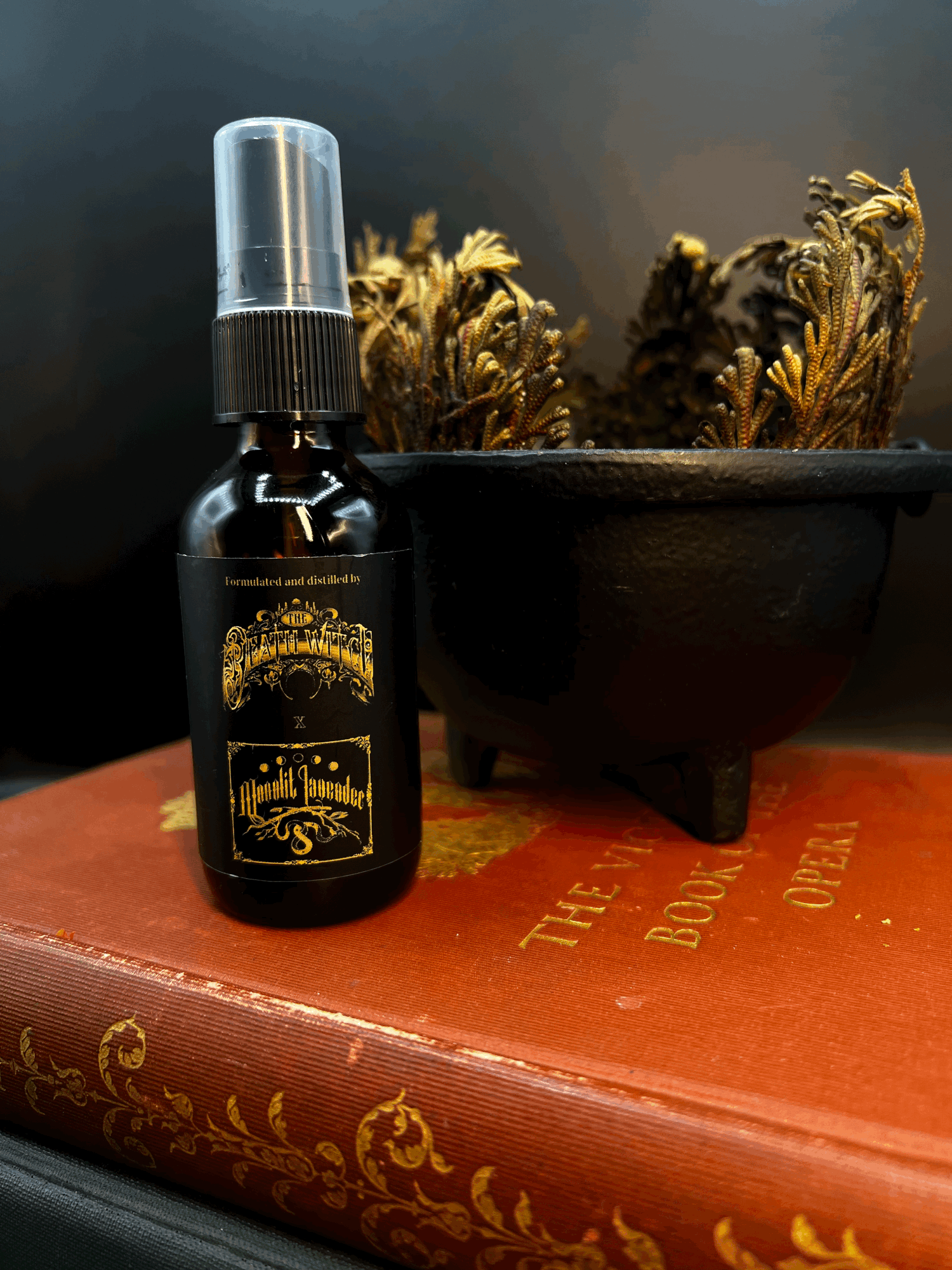 SHOP — THE DEATH WITCH