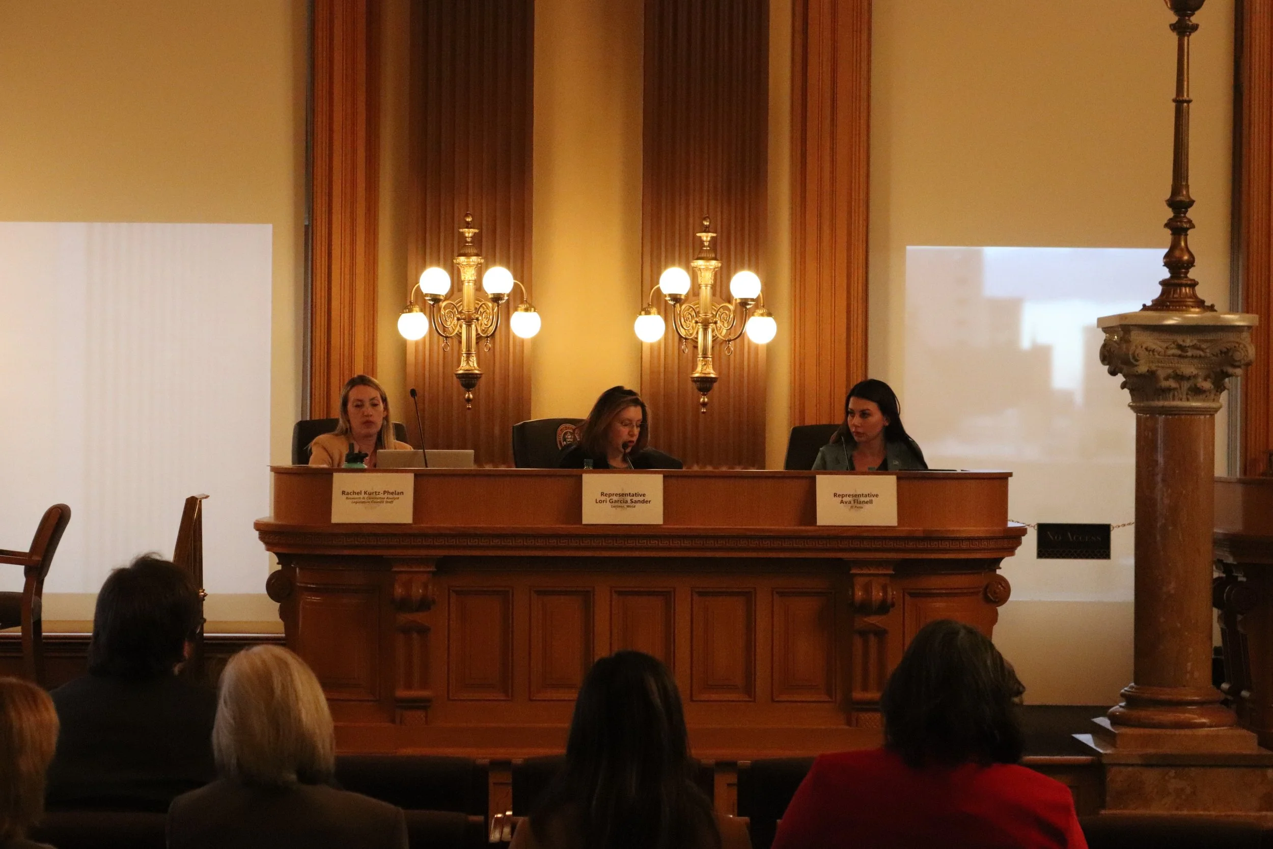 Ava Flanell — Colorado House Republicans