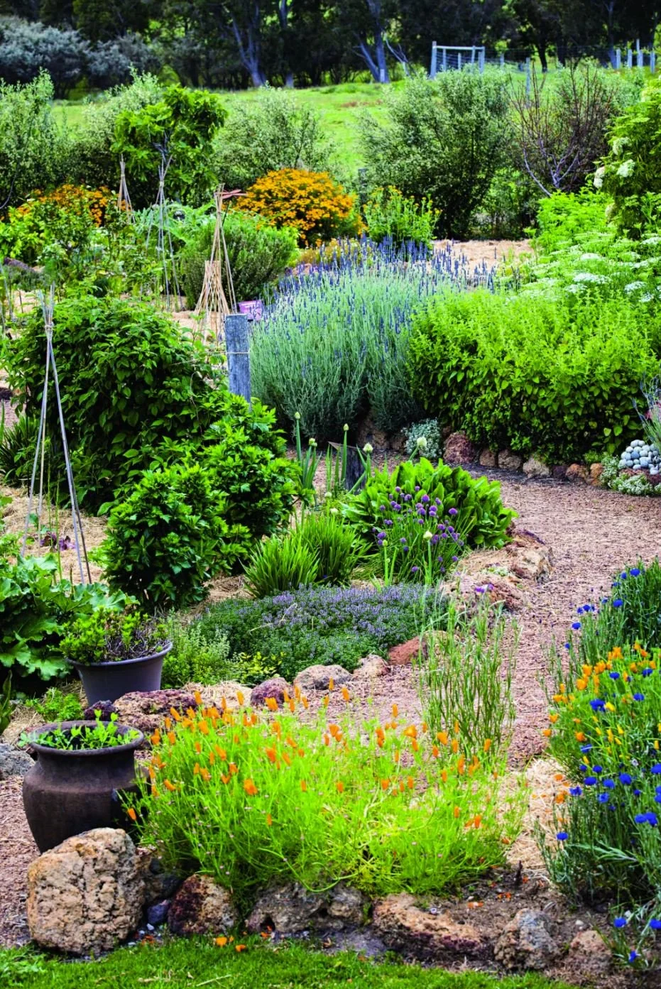 Cohousing — MARJORIE DESIGN
