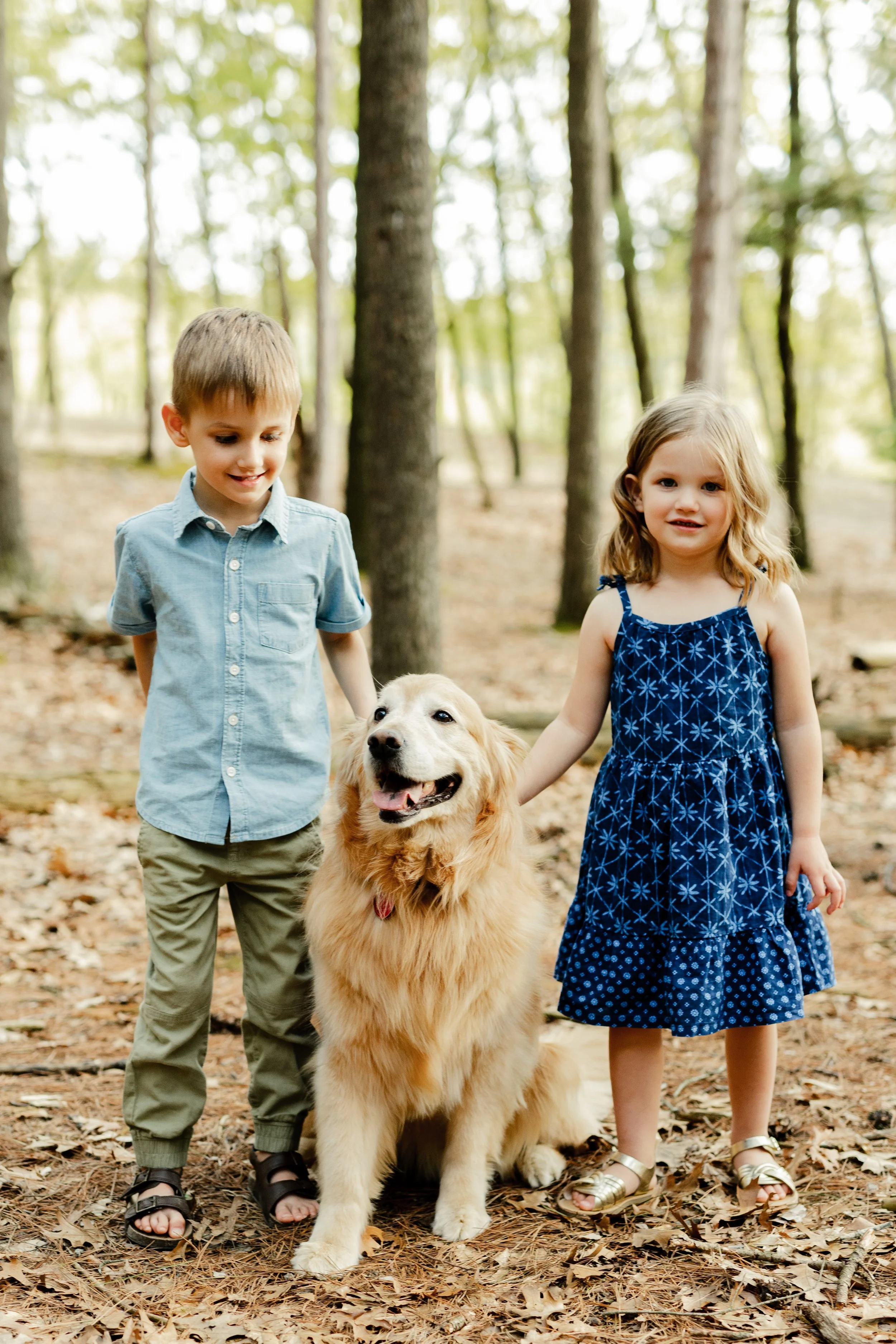 Laura DeVries Photography