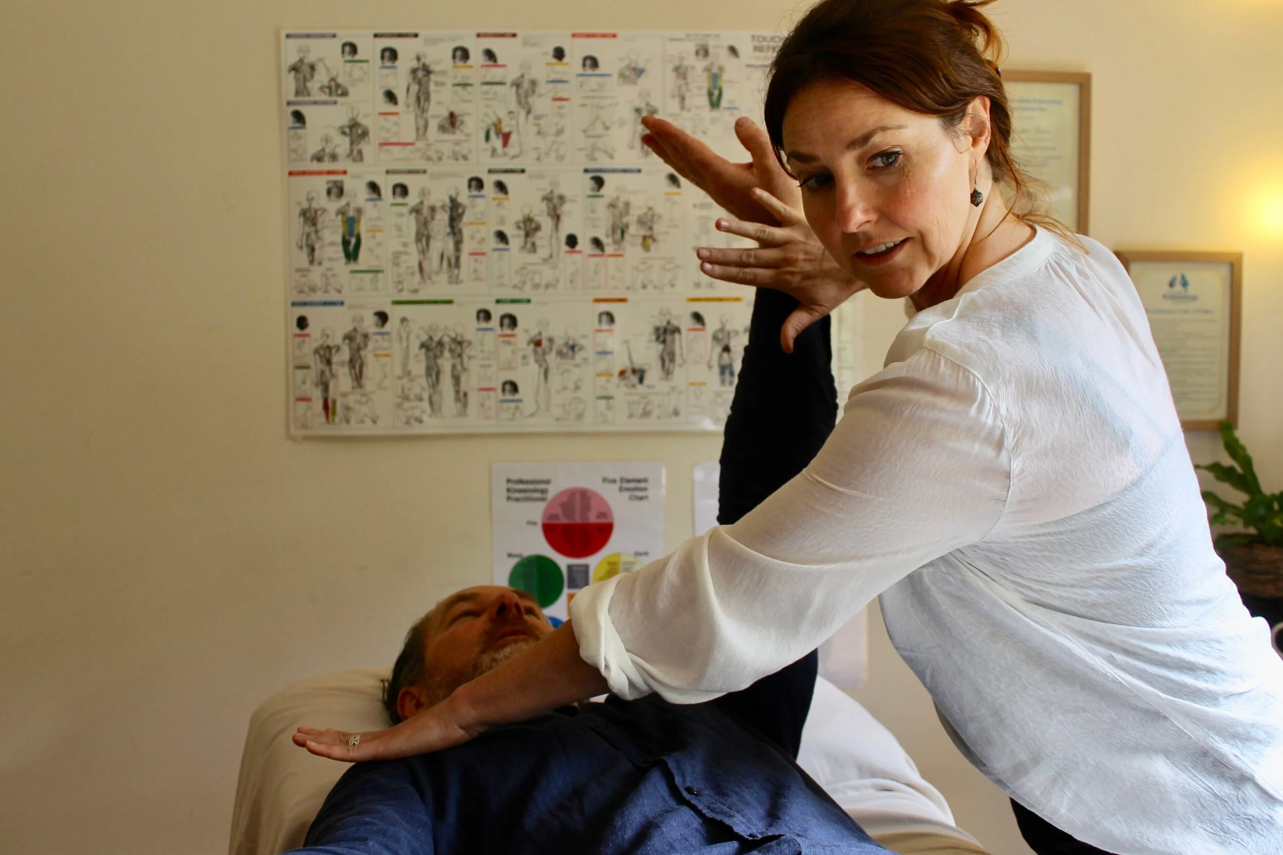 Leading Adelaide Kinesiologist | Cranial Sacral Therapy | Holistic ...