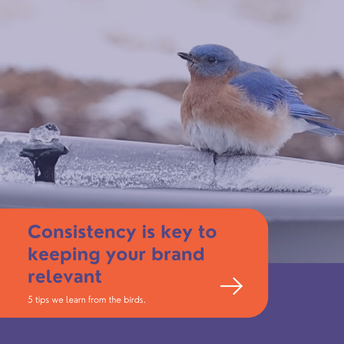 Martinez Media & Marketing Group