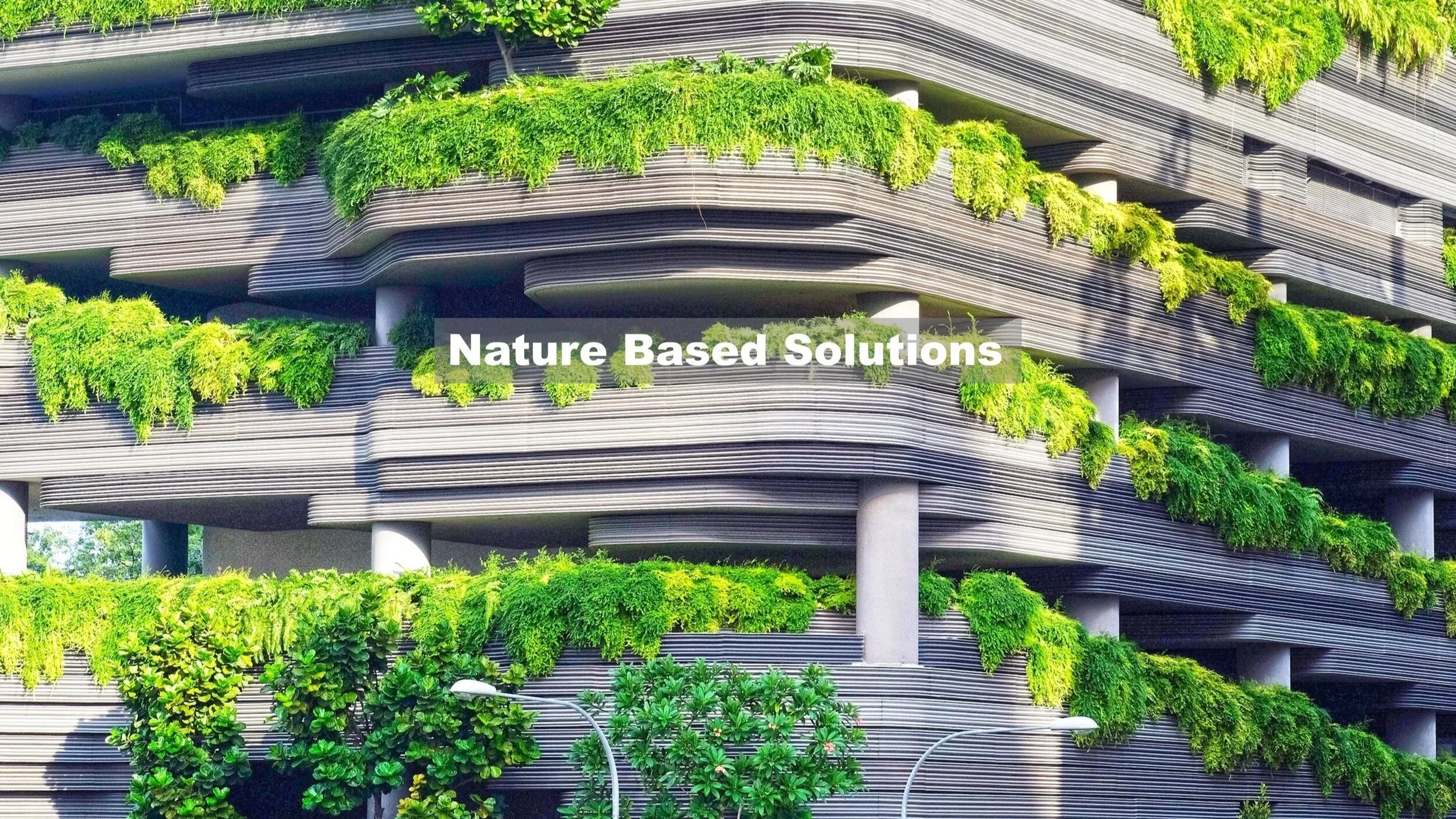 Netatech Engineering | Sustainable Water & Irrigation Systems