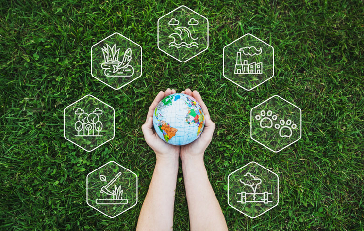 Netatech Engineering | Sustainable Water & Irrigation Systems