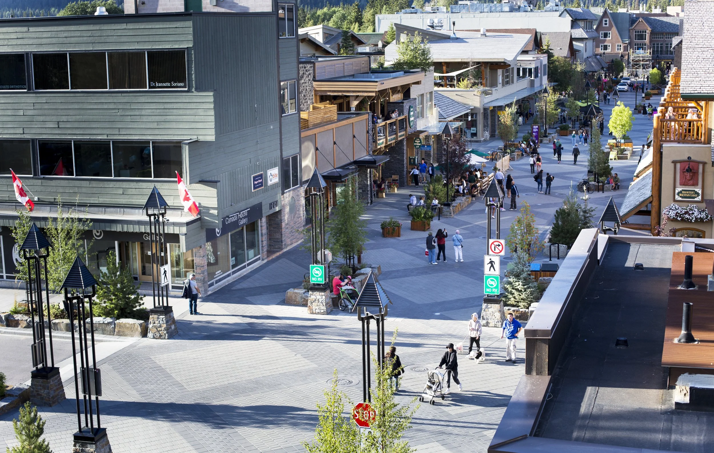 Bear Street Reconstruction — The Tula Project