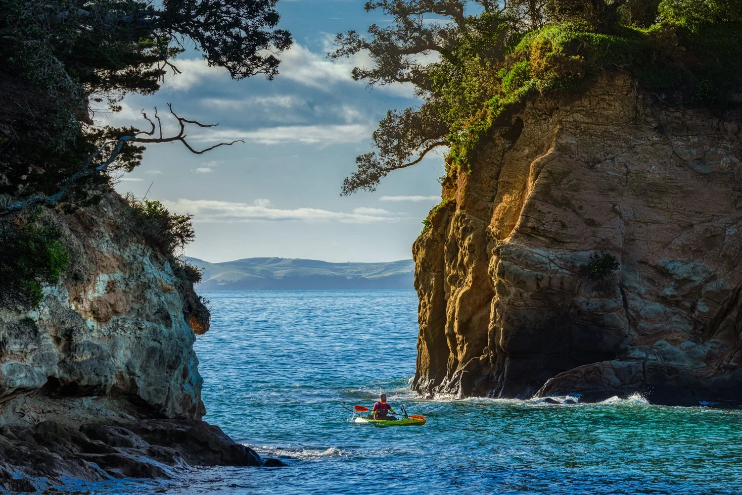 Waiake Auckland — Karen Triggs Photography