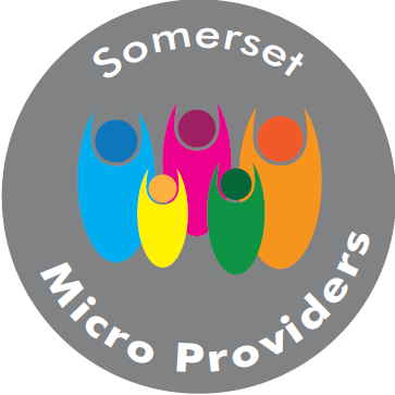 Micro providers — Wells Community Network