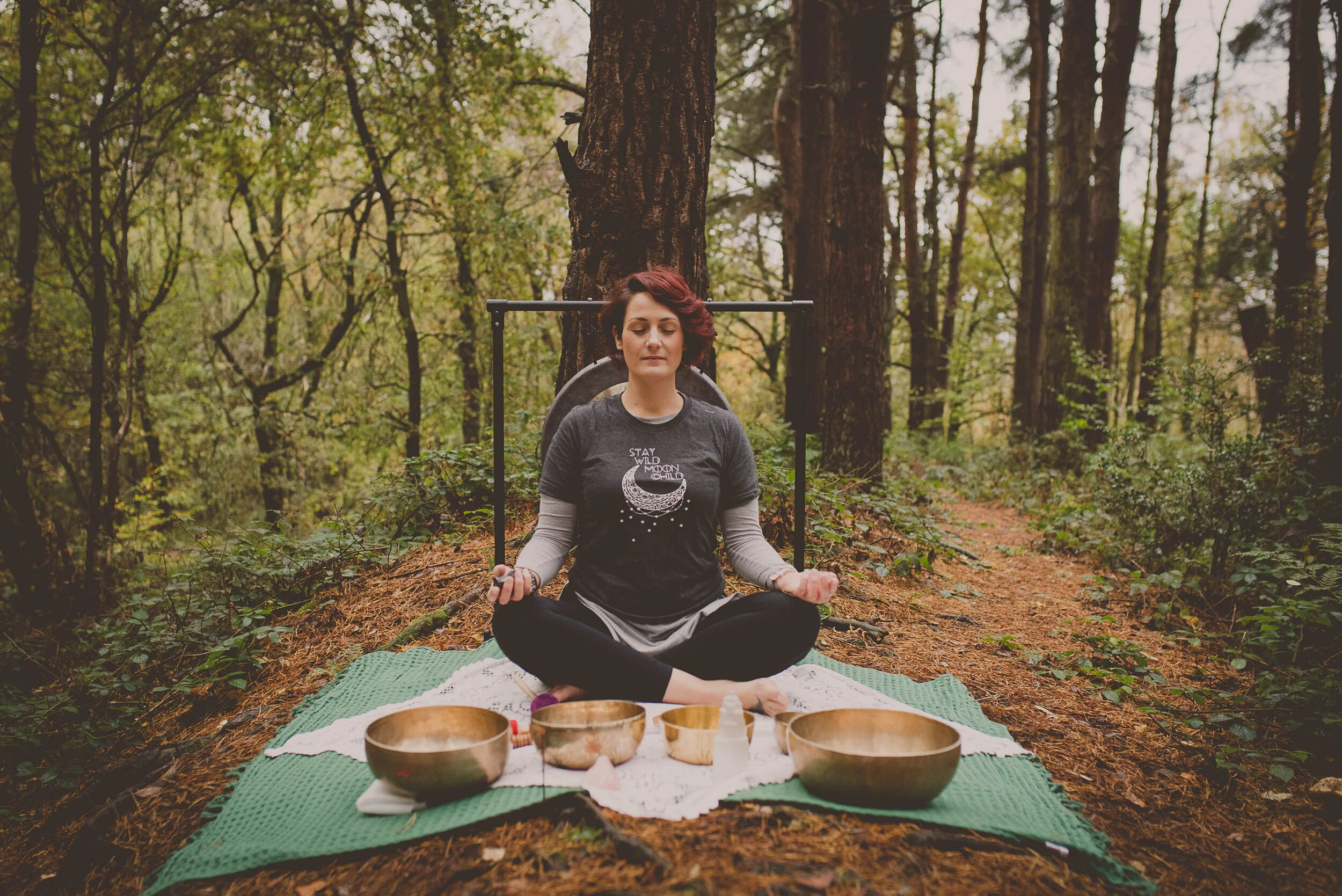 Blog — Bee In The Lotus | Welcome to Bee In The Lotus | The NEW ...