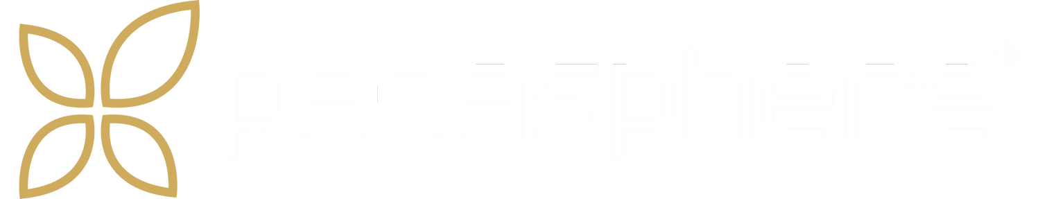 Blog | Panasphere Inc.