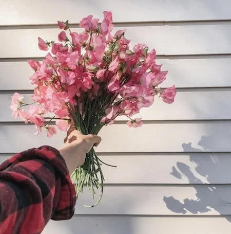 MakeShare | Miller + Co. Flower Farm — MakeShare