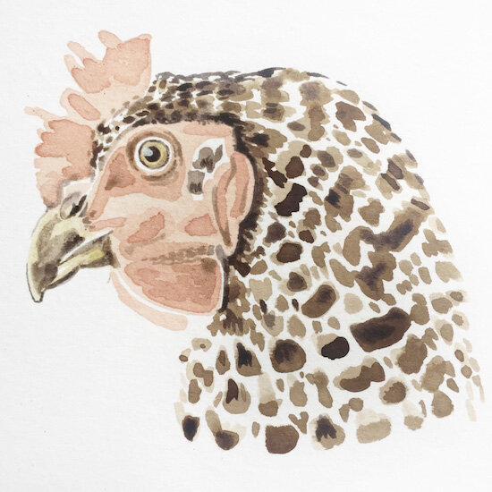 MakeShare | Aimée van Drimmelen — MakeShare