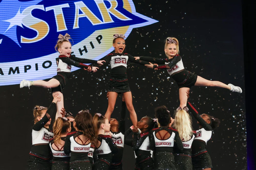 Corporate Sponsorship — Brandon All-Stars