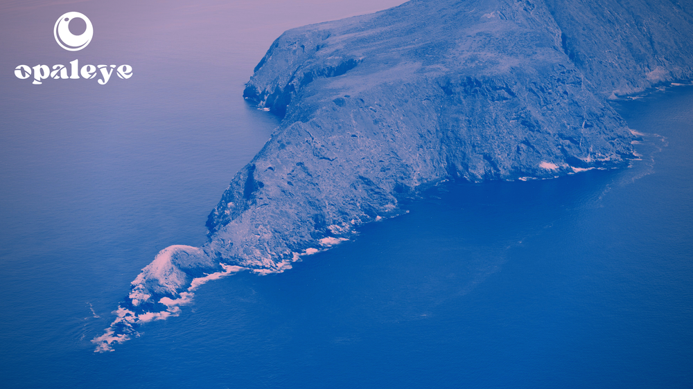 Rebranding — Opaleye - More Reviews on the Listings that Matter