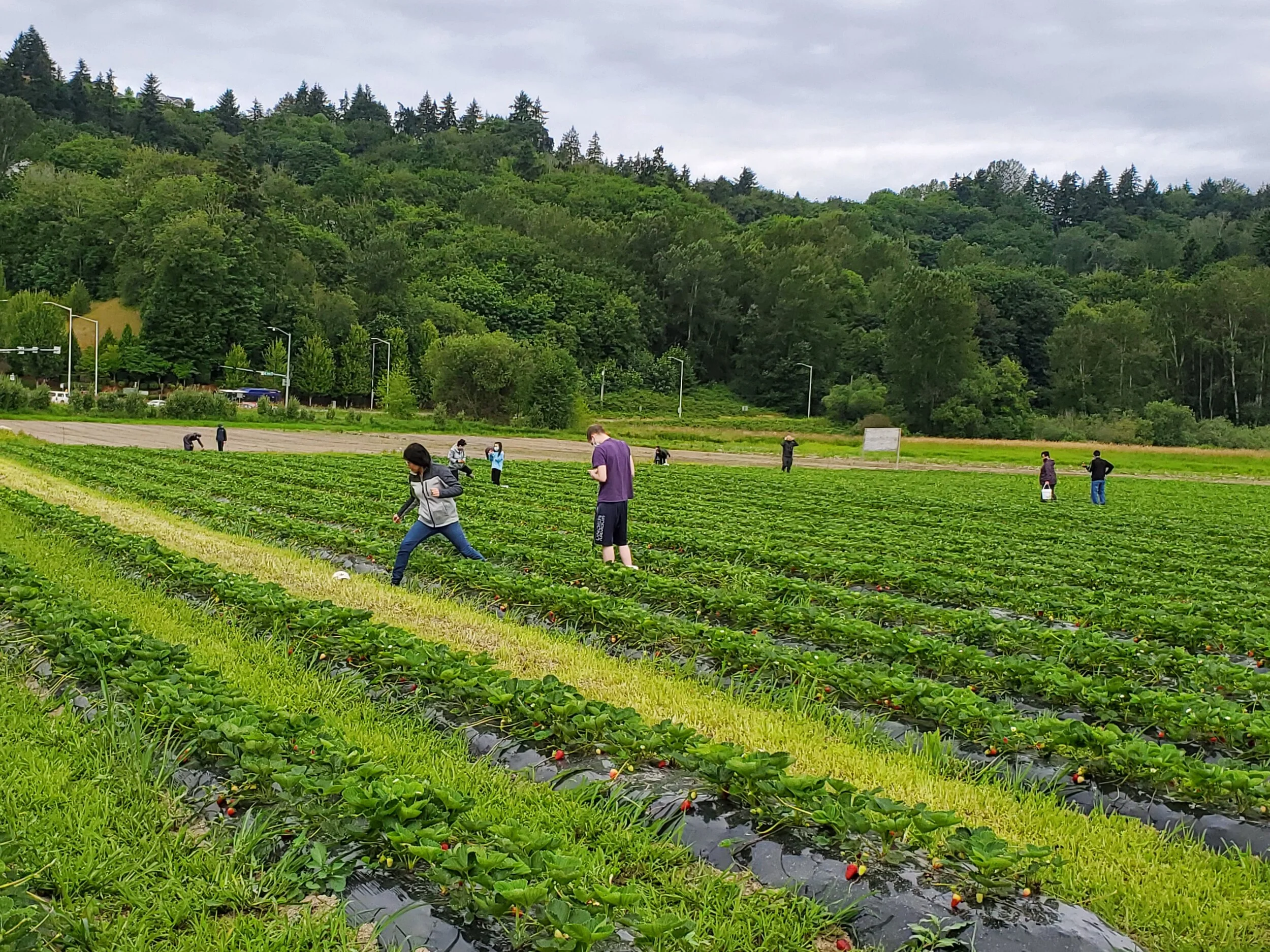 Lee Family Farm