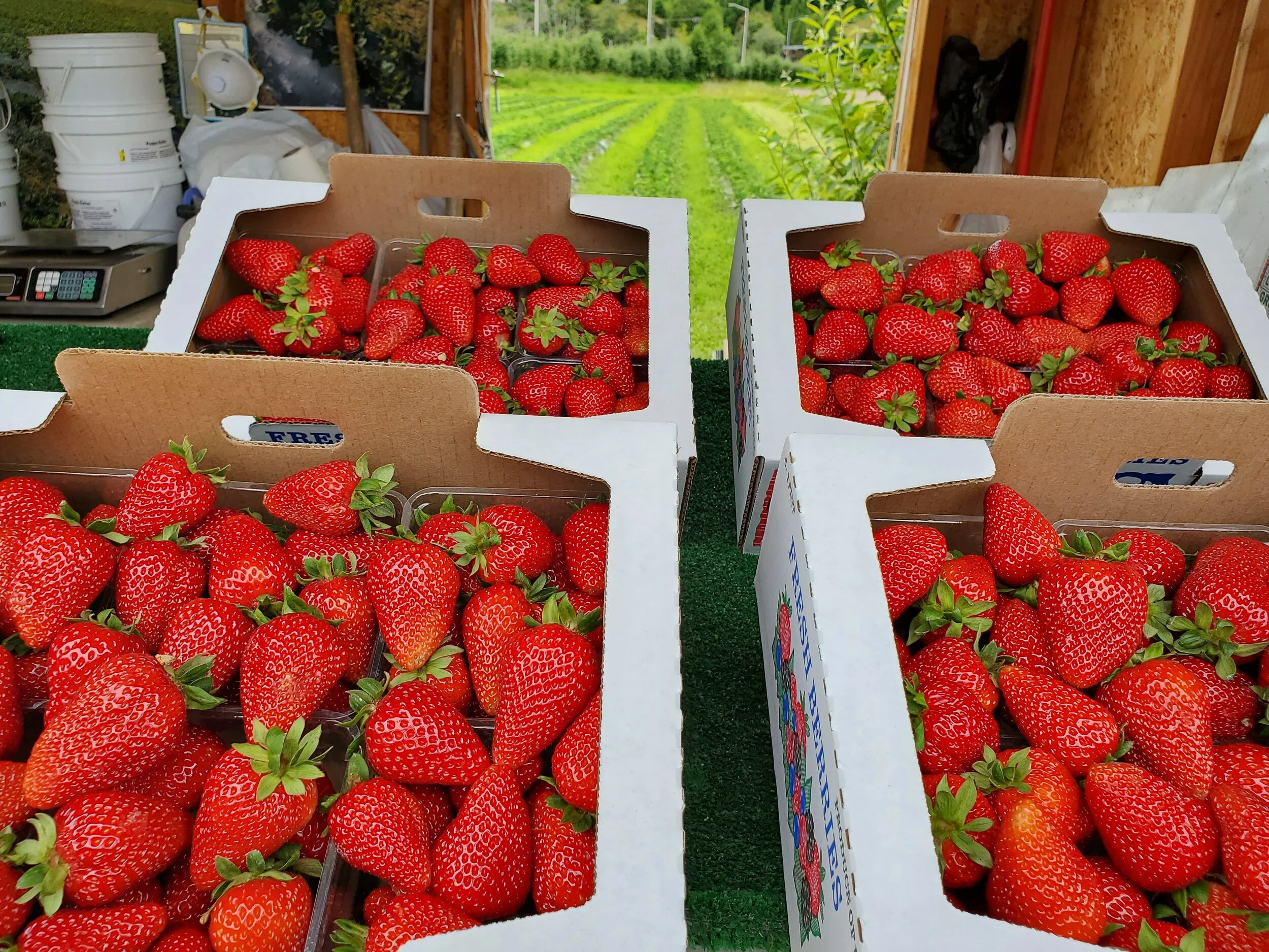 Products — Lee Family Farm