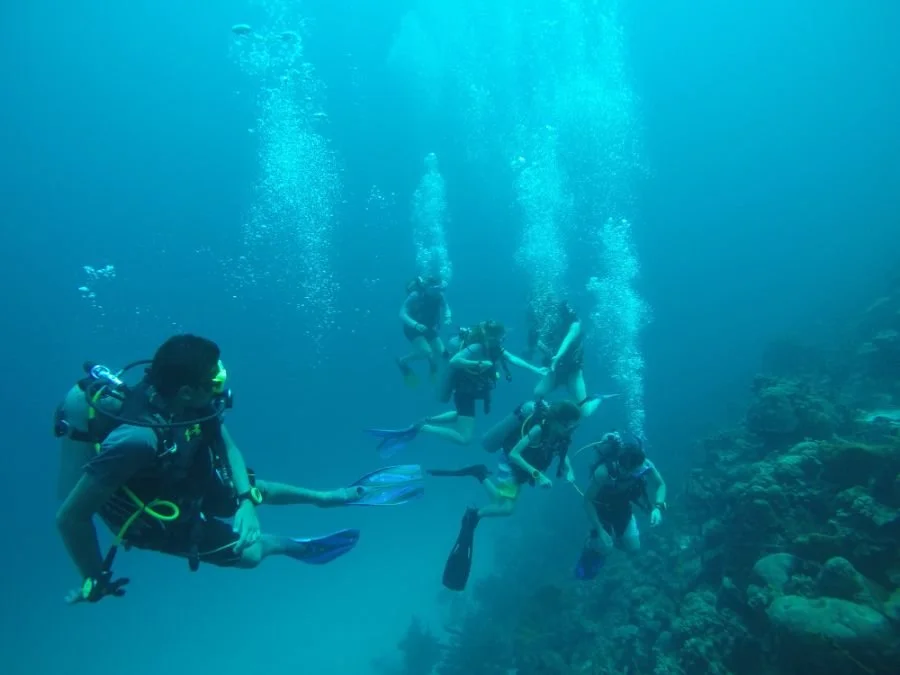 Bali: Coral and Culture — The Road Less Traveled