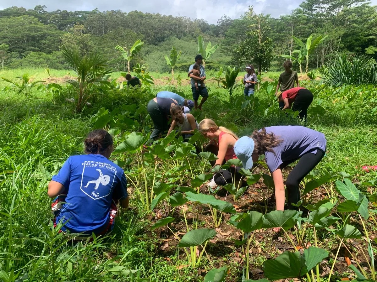 International Volunteer Programs For Teens — The Road Less Traveled