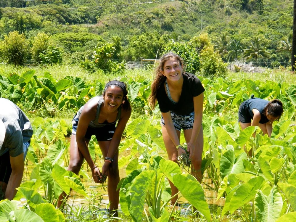 Environmental service projects play a central role in RLT summer travel ...