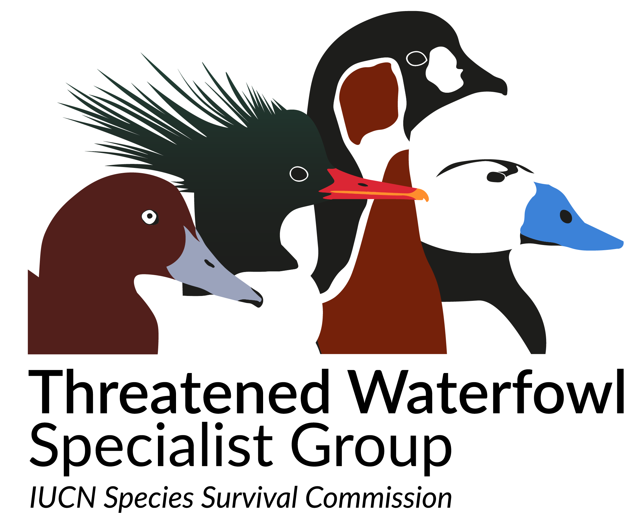 Why Did The Labrador Duck Became Extinct