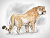 Panthera atrox (The American Lion) — The Extinctions