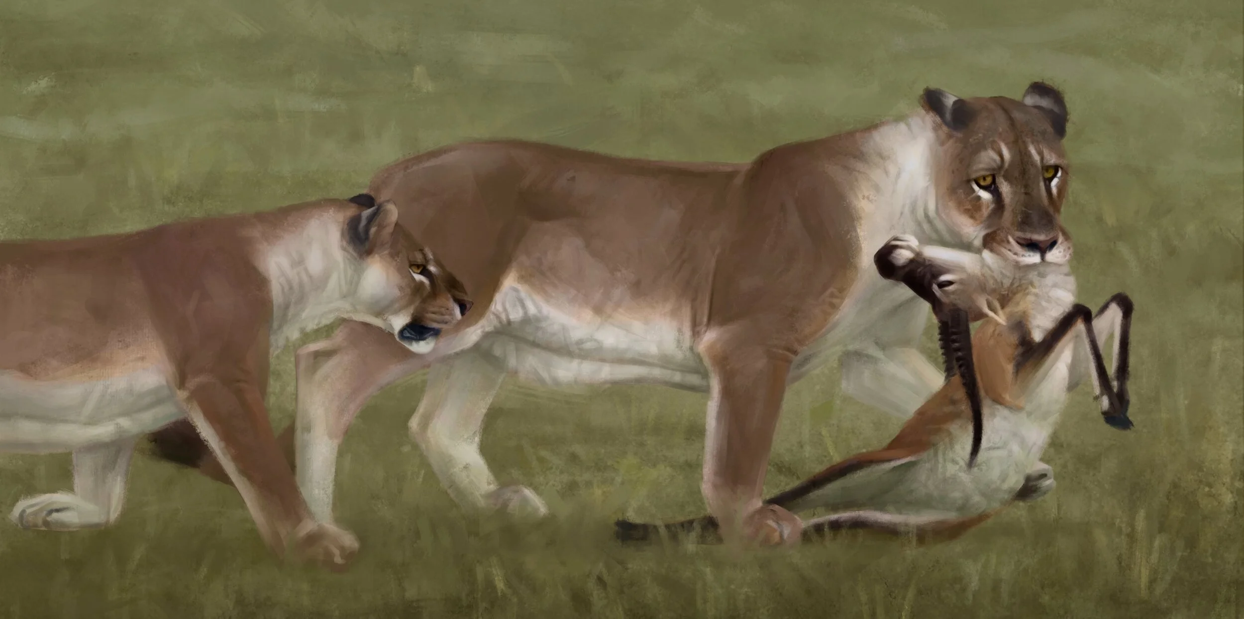 Panthera Spelaea The Cave Lion The Extinctions