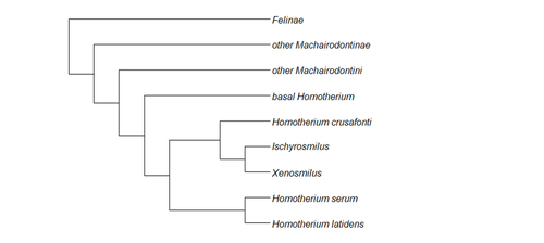 Homotherium — The Extinctions