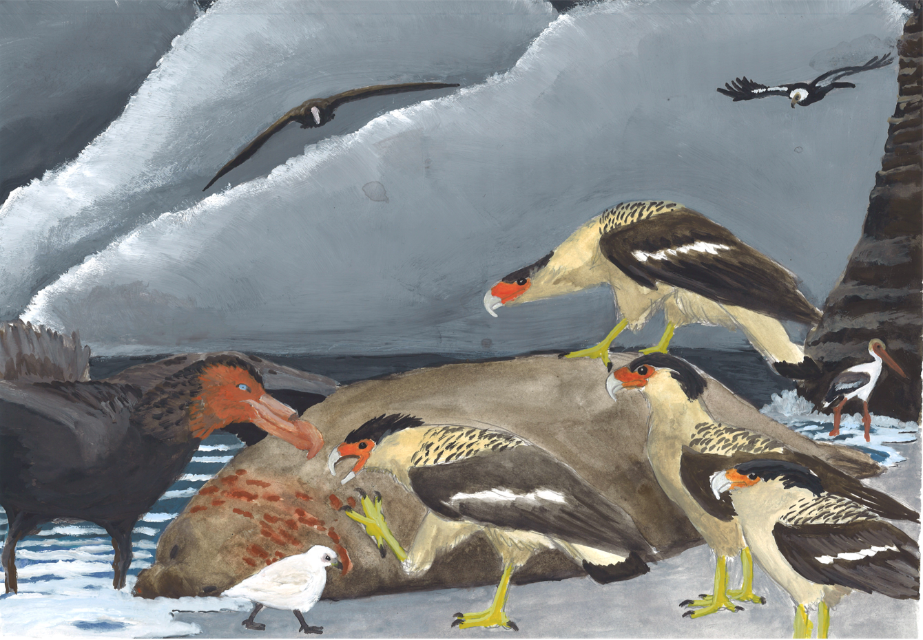 Plight of the Undertakers – the extinction of carrion birds in the ...