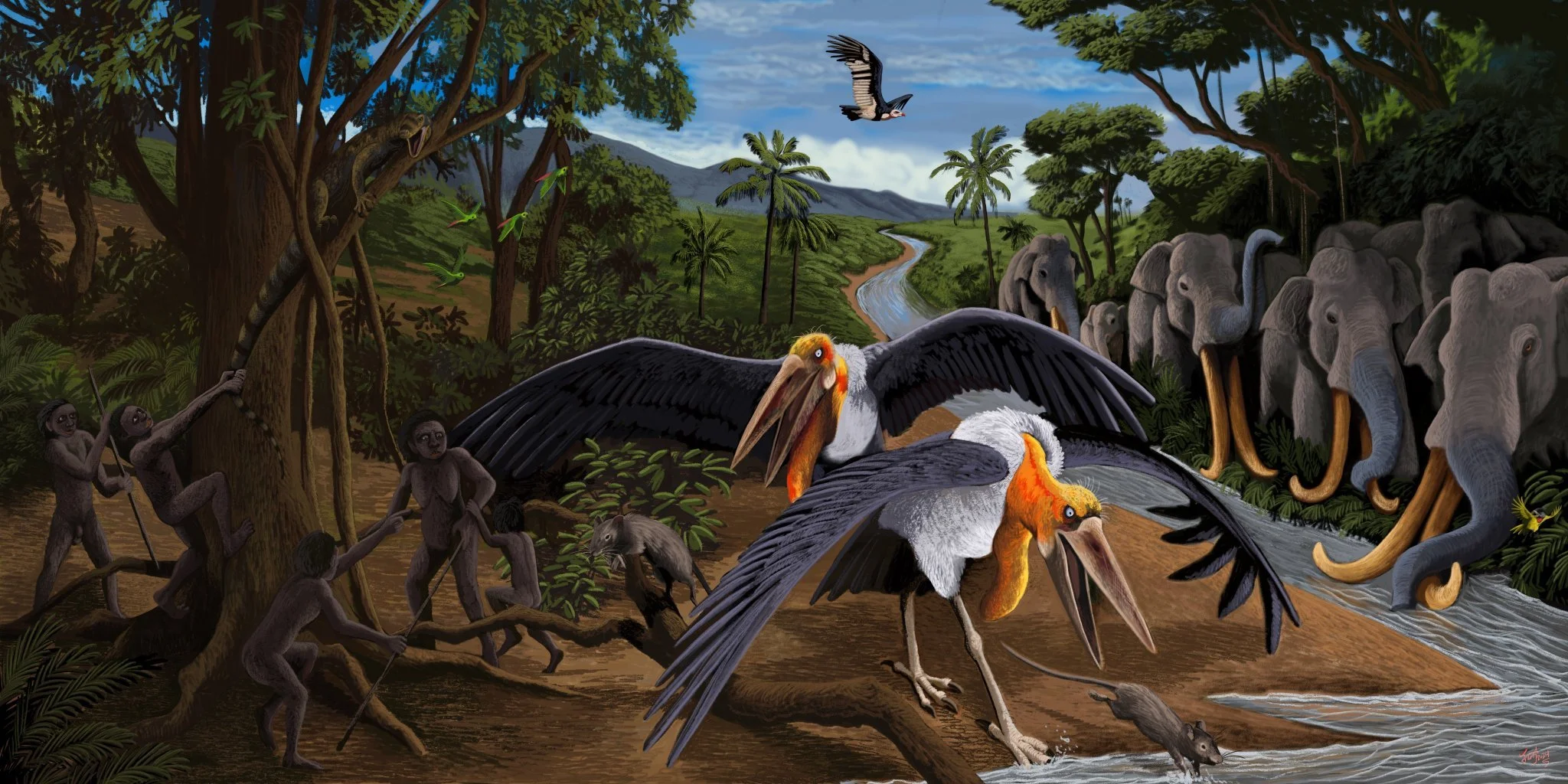Lesser Sunda Islands Part 1 – Flores & Sumba — The Extinctions