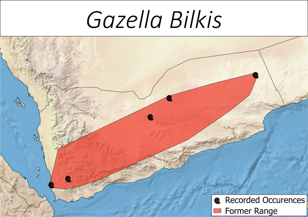 Gazella bilkis — The Extinctions